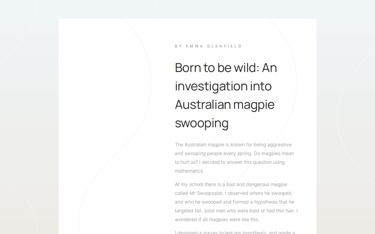 The magpie kid